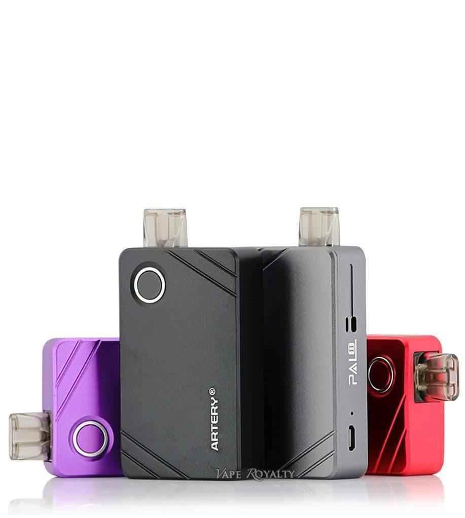 ARTERY PAL 2 POD KIT – Vape King
